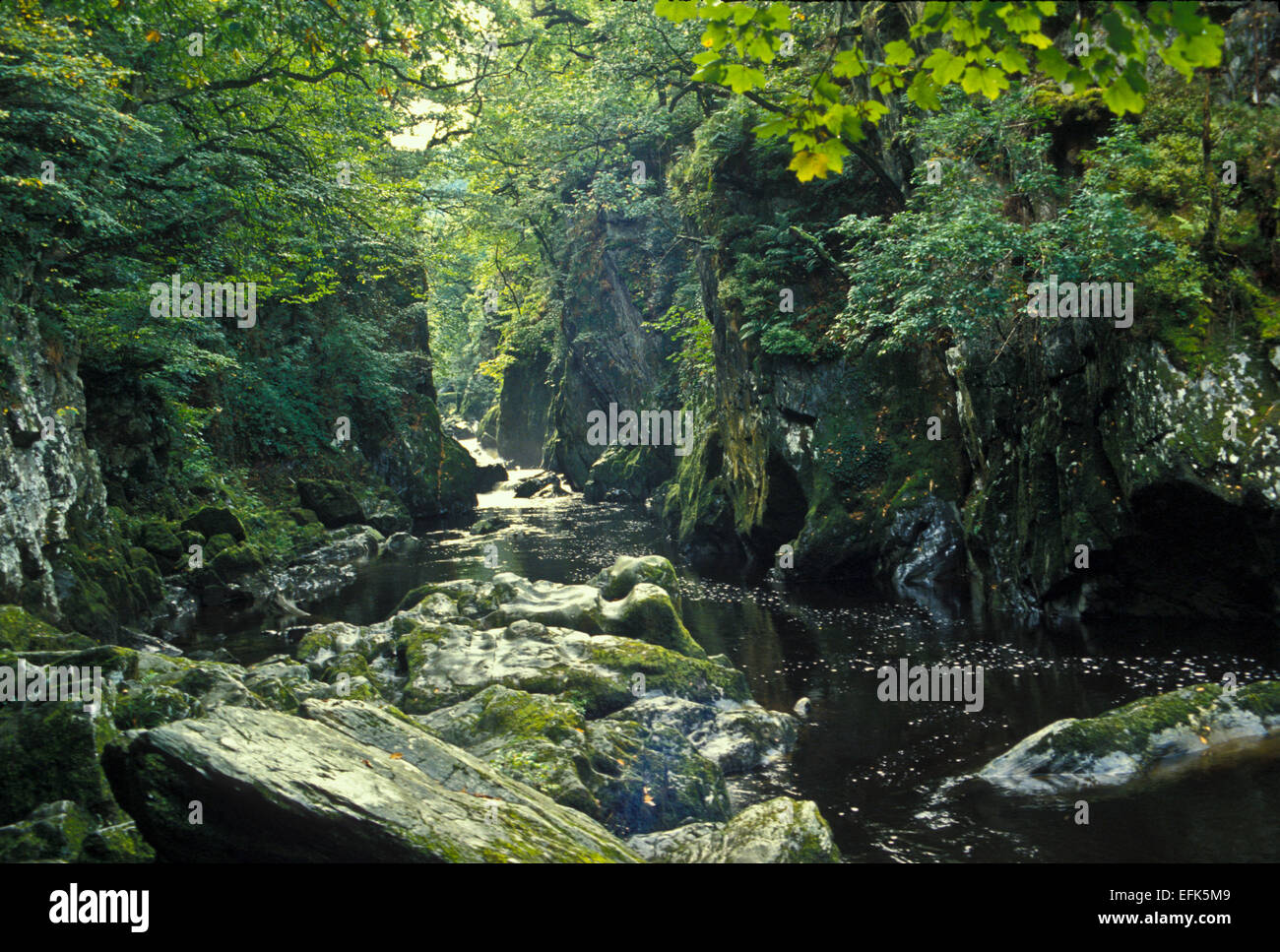 River Machno and 'Roman Bridge' below Pencachno Gwynedd Wales UK Stock ...