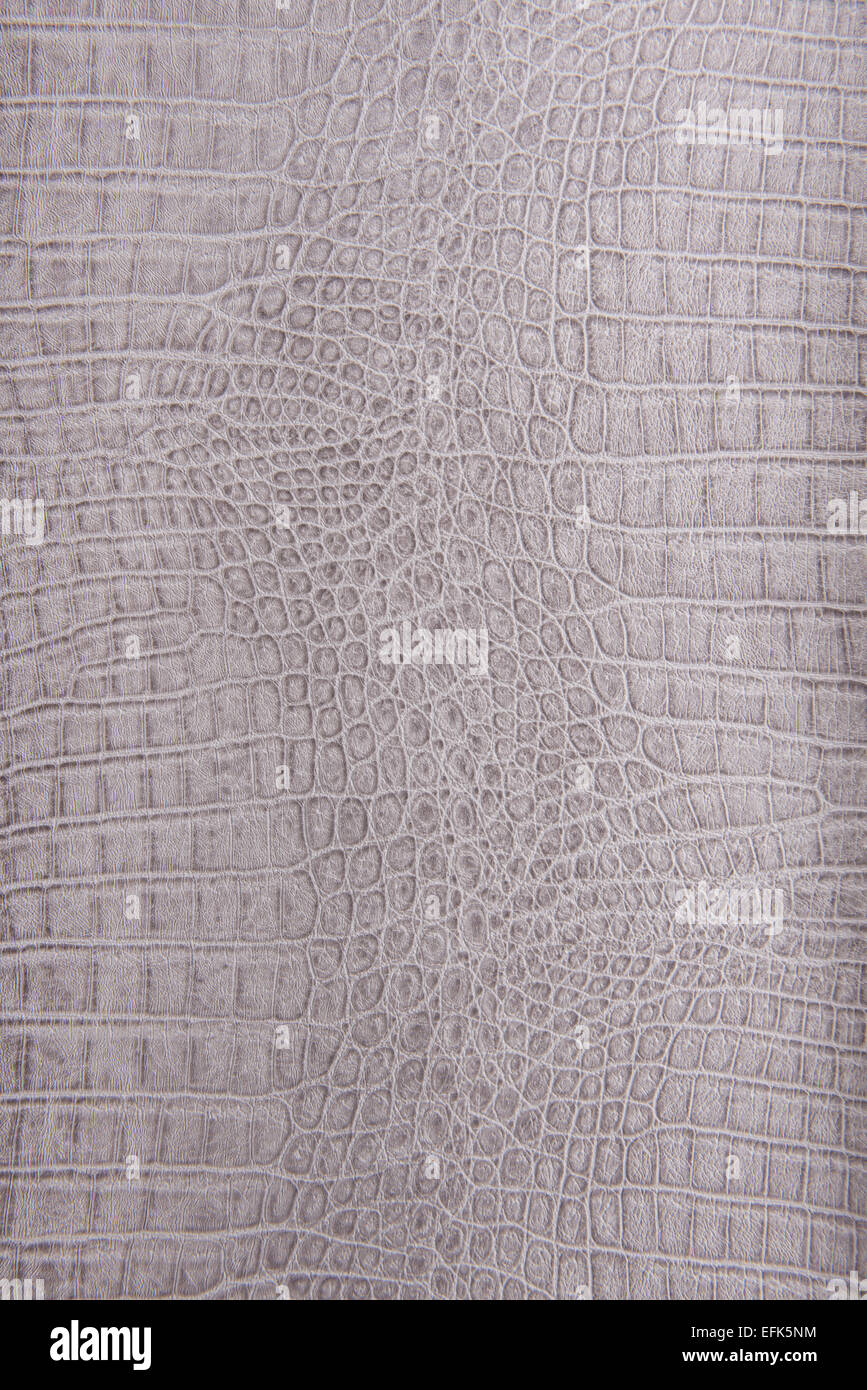 Crocodile skin seamless texture hi-res stock photography and images - Alamy