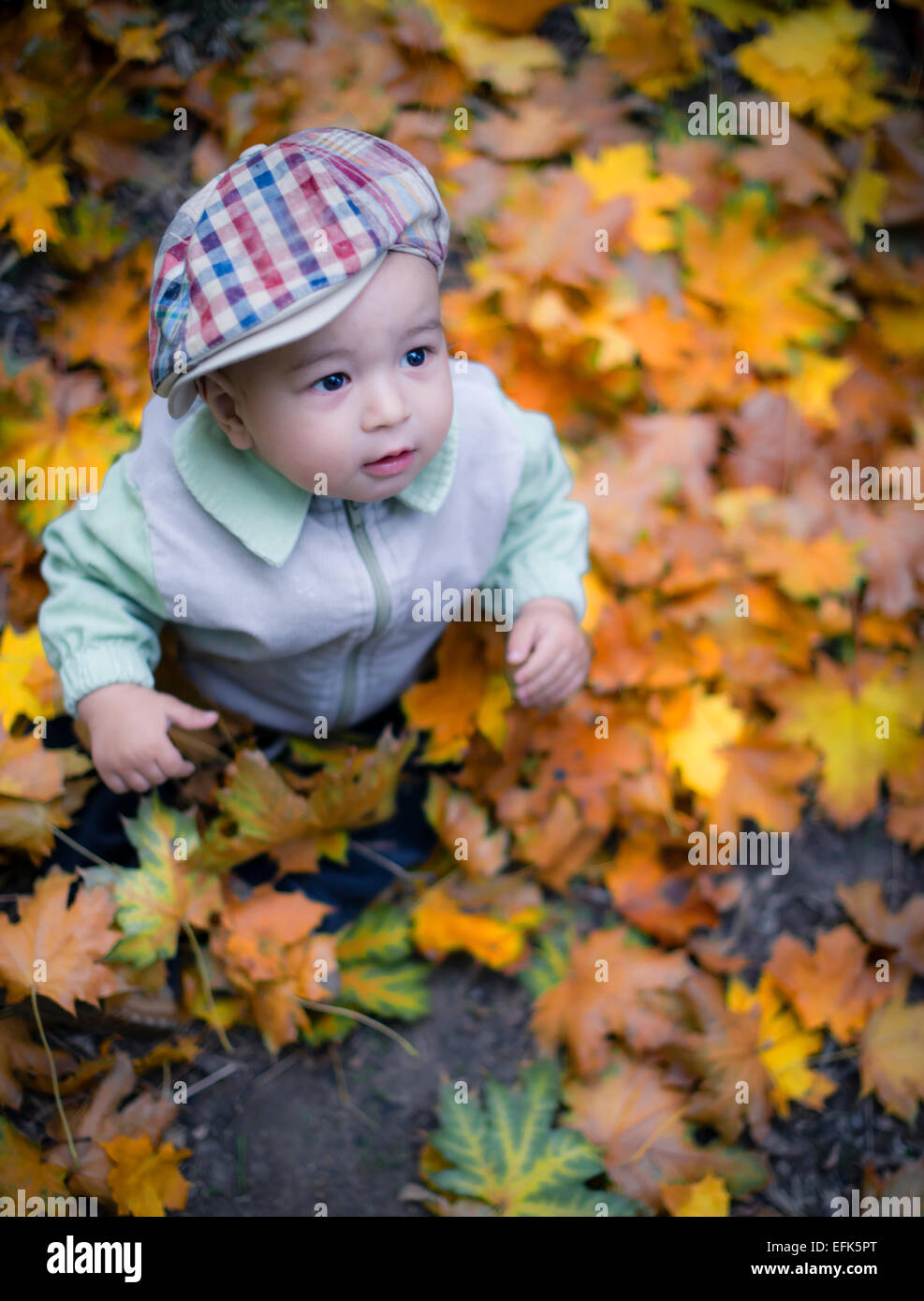 little boy in autumn Stock Photo - Alamy