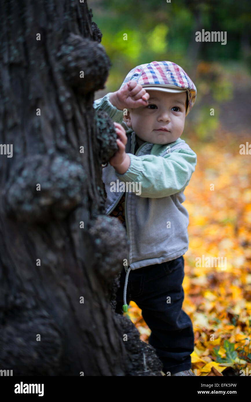 little boy near a tree in autumn Stock Photo - Alamy