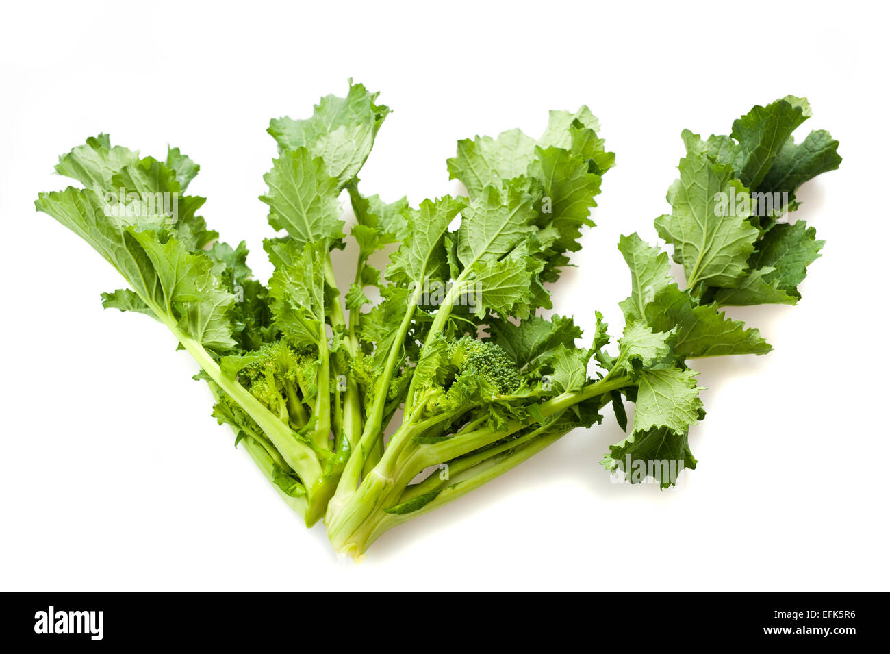 Broccoli rabe hi-res stock photography and images - Alamy