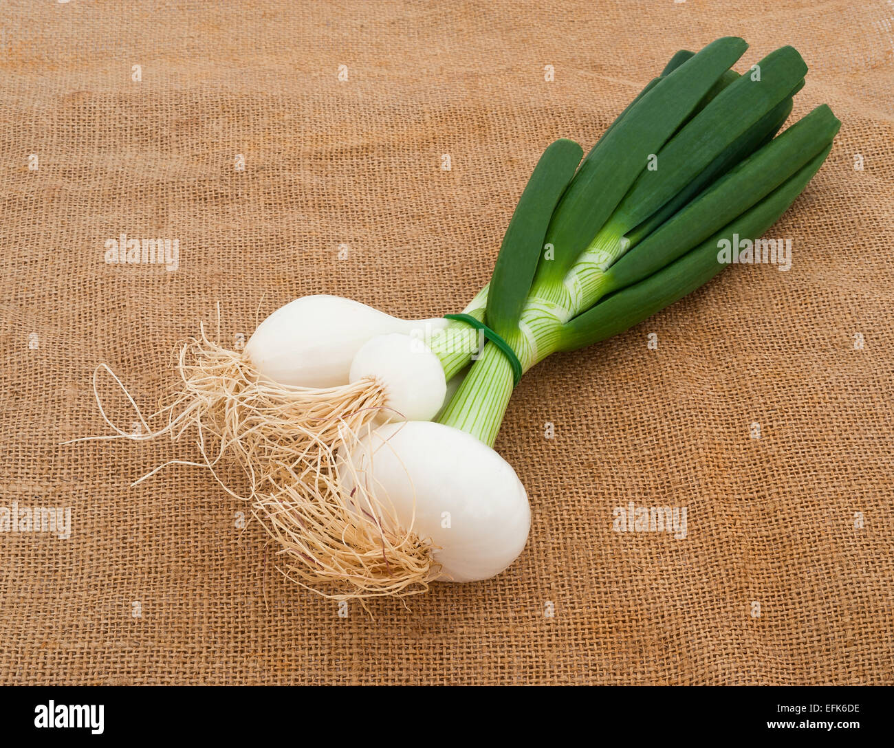 A bunch of spring onions Stock Photo - Alamy