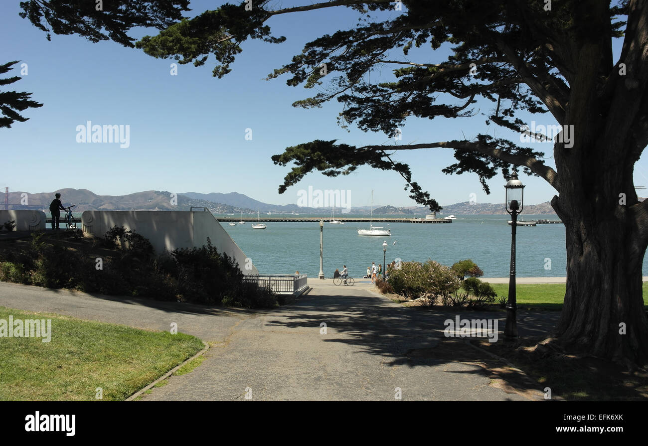 Blue sky view walkway crossing waterfront grass by tree to promenade ...