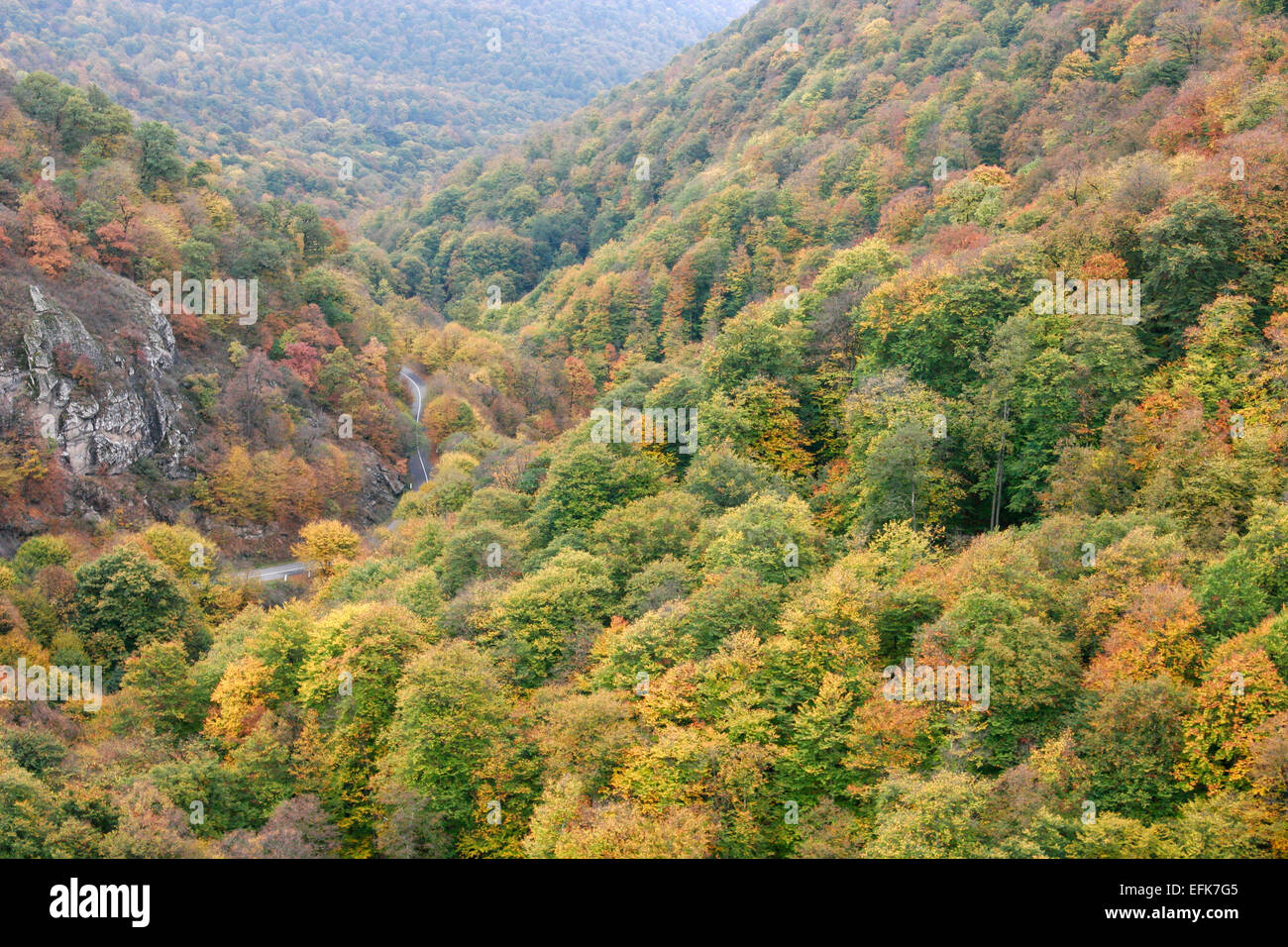 Dilijan High Resolution Stock Photography and Images - Alamy