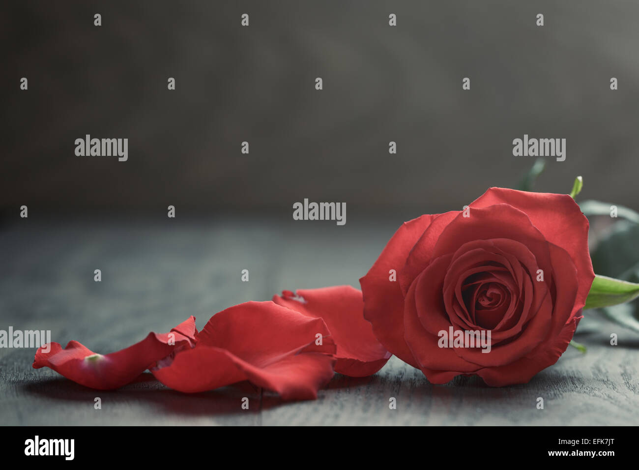 Red rose with petals on wood table Stock Photo - Alamy