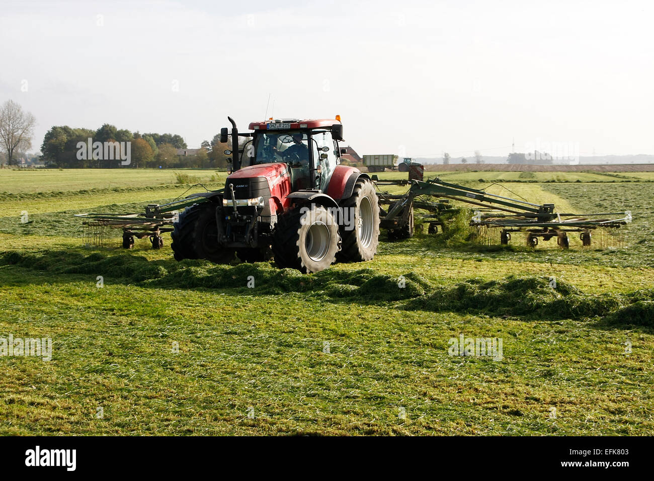 With the Windrower the cut grass is compiled into windrows. Then it is ...