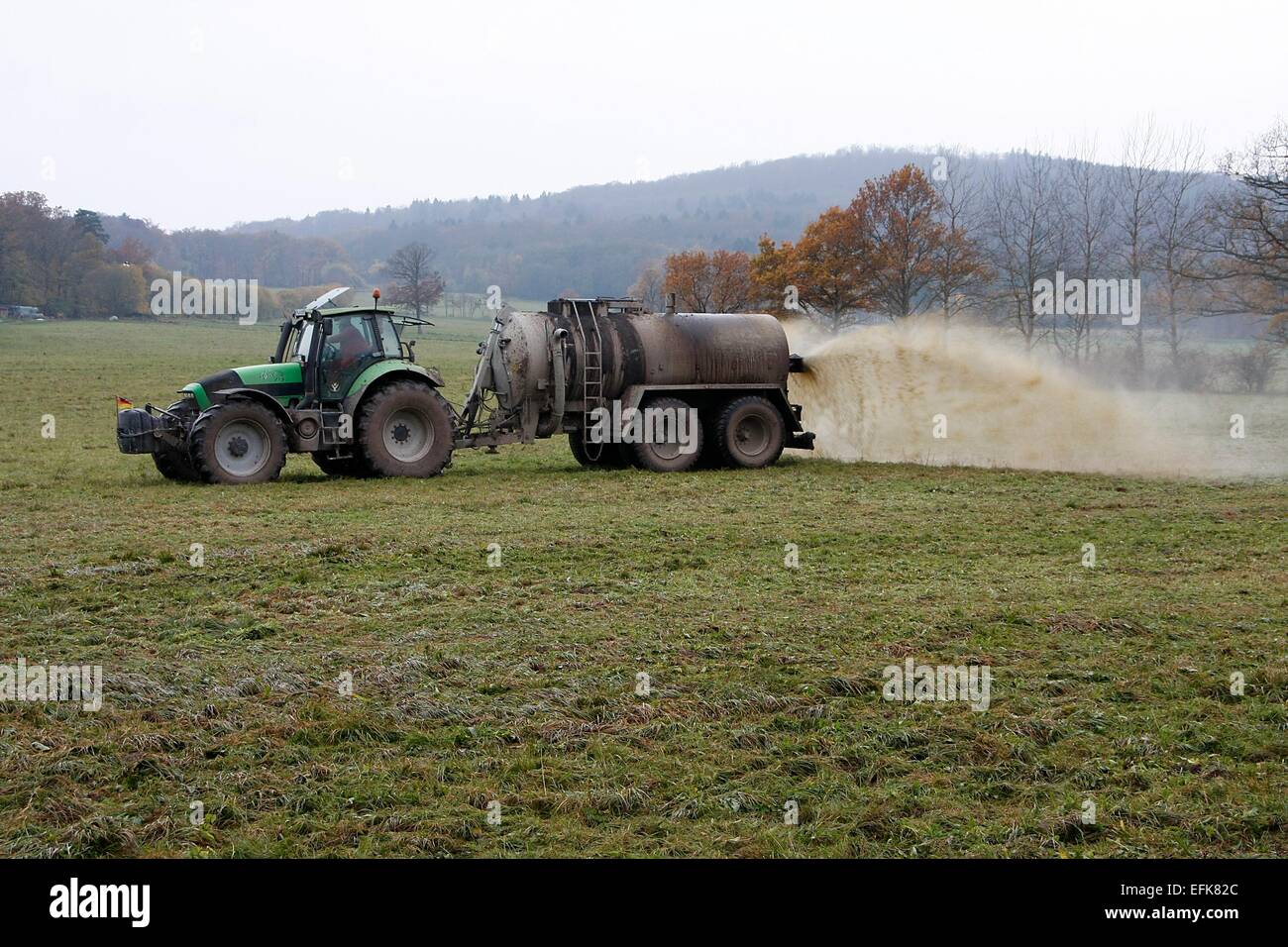 Spraying of tanker liquid manure on a meadow in late autumn. Tanker ...