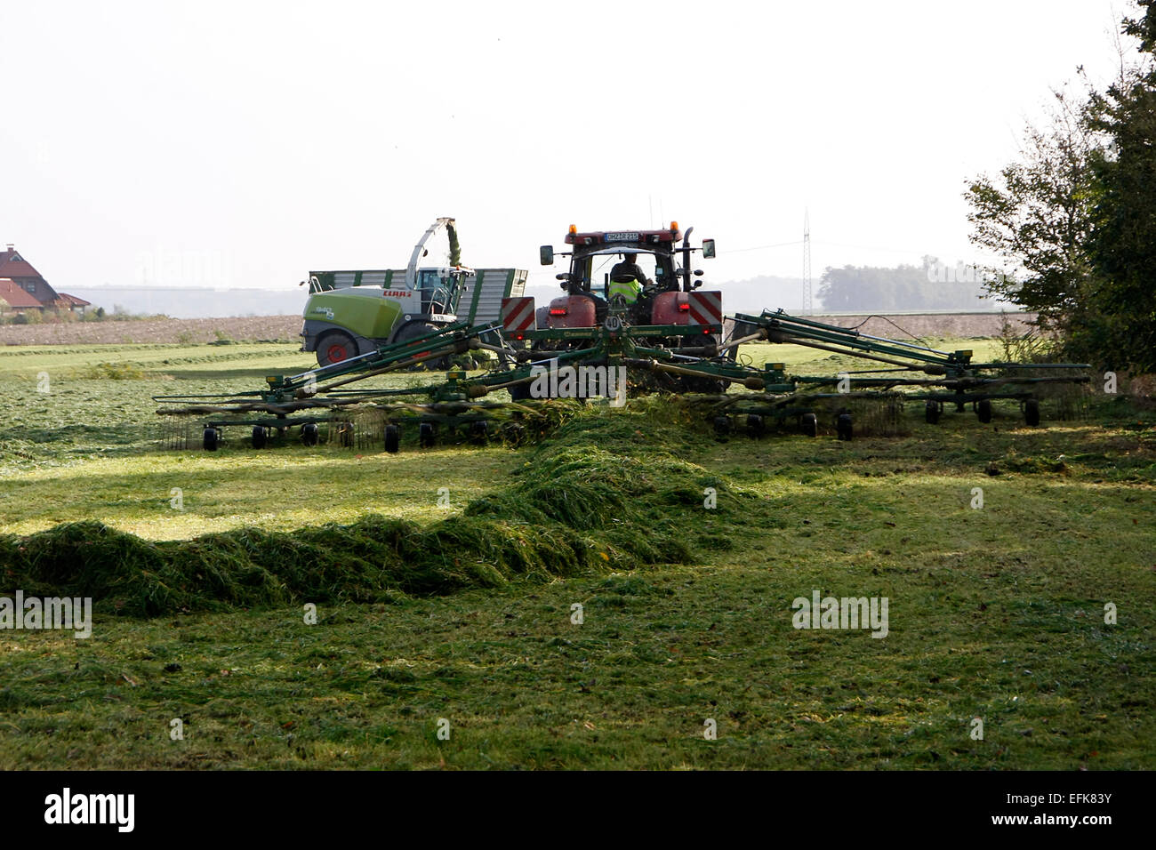 With the Windrower the cut grass is compiled into windrows. Then it is ...
