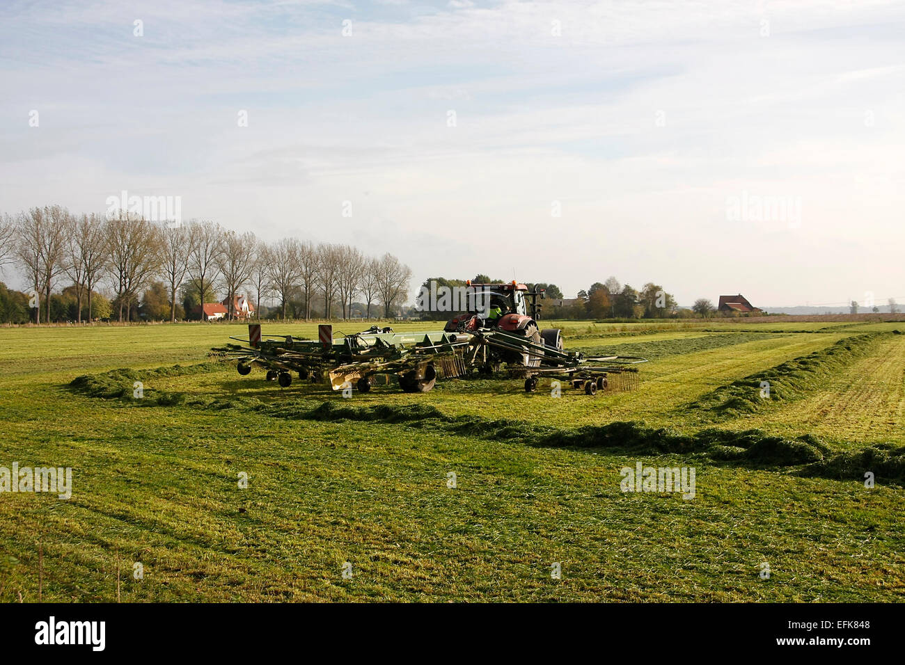 Pick gras hi-res stock photography and images - Alamy