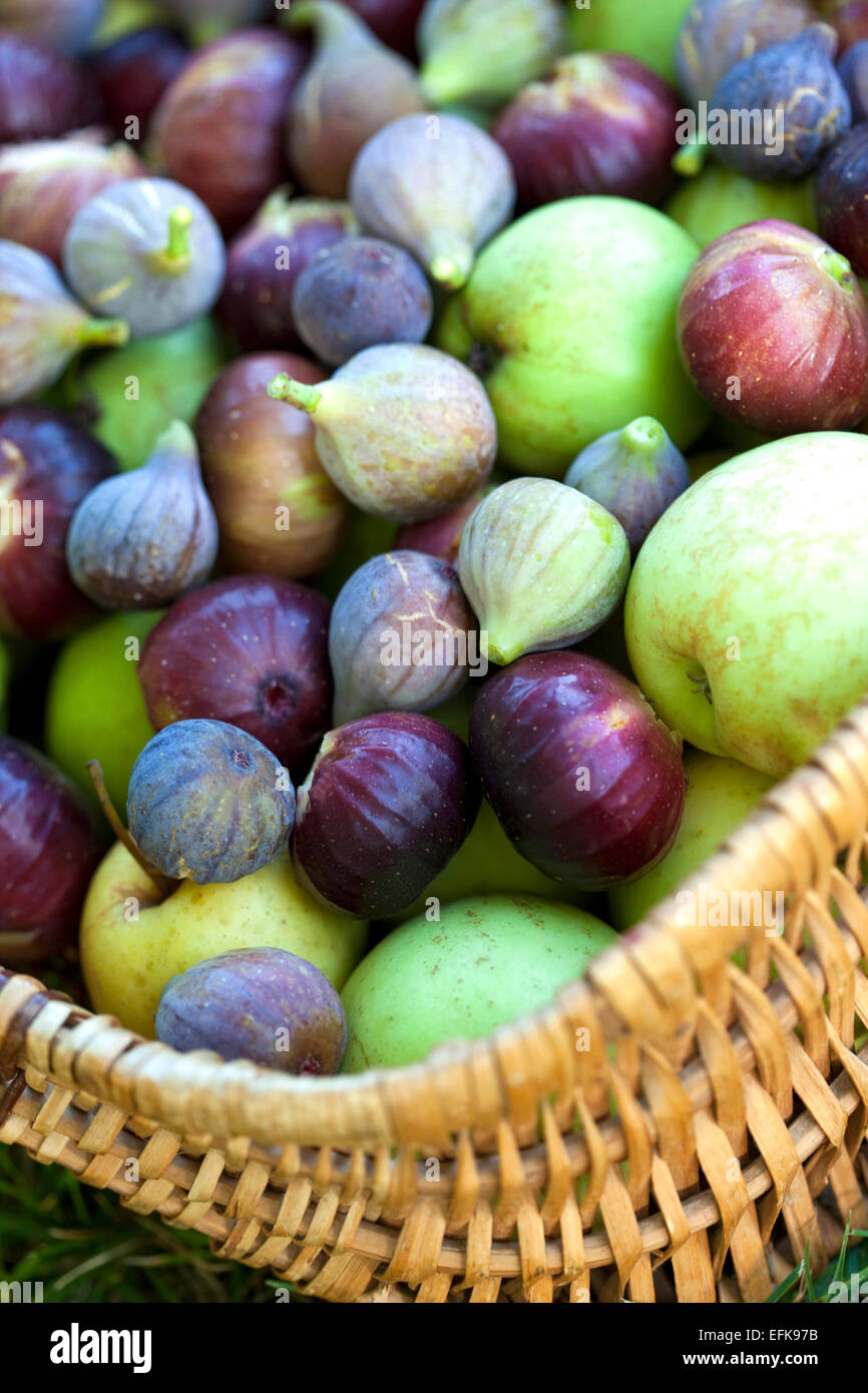 Fig basket hi-res stock photography and images - Alamy