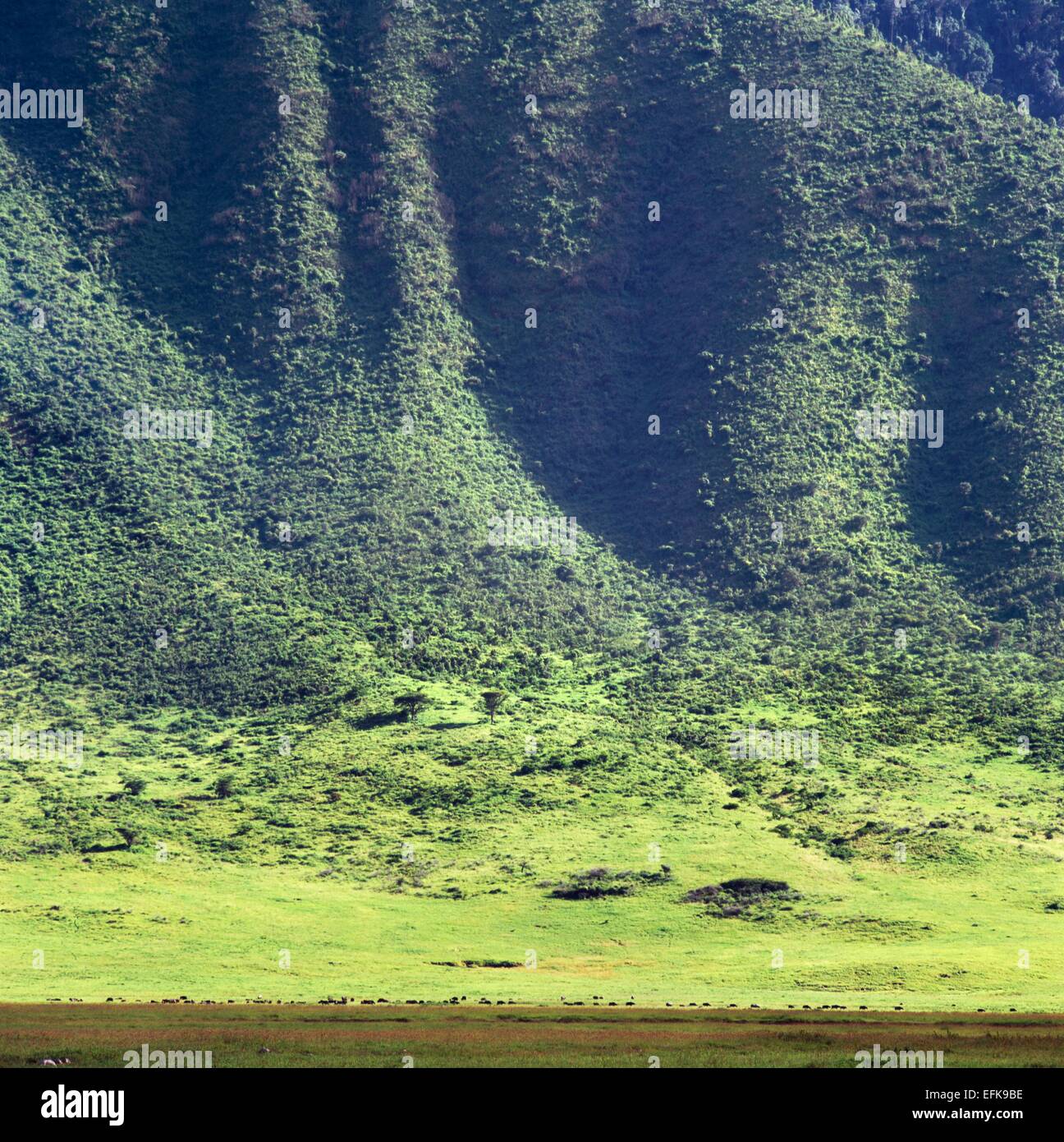 crater Ngoro Ngoro Stock Photo - Alamy