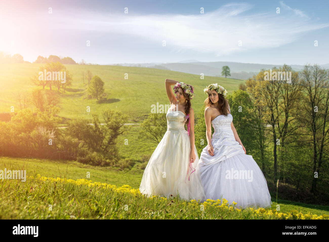 Morning brides hi-res stock photography and images - Alamy