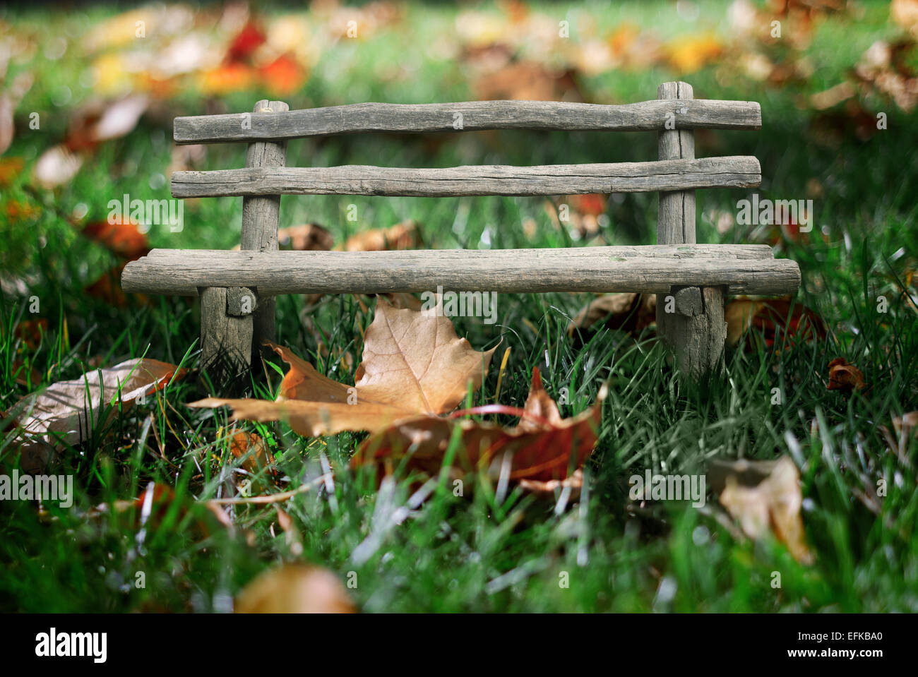 Collage bench in autumn grass. macro photo Stock Photo - Alamy