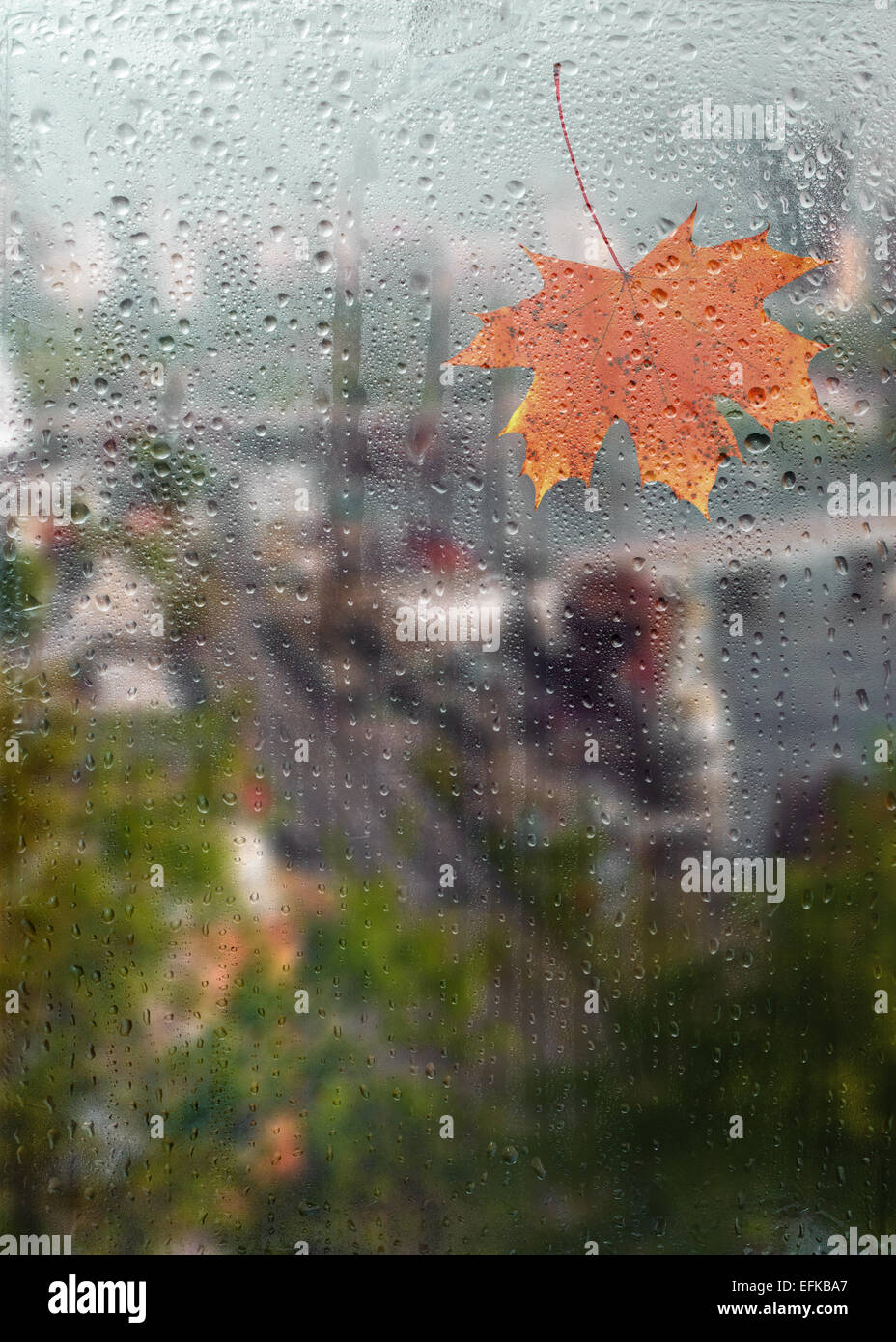 Autumn, rainy city through a window with raindrops. autumnal mood Stock ...