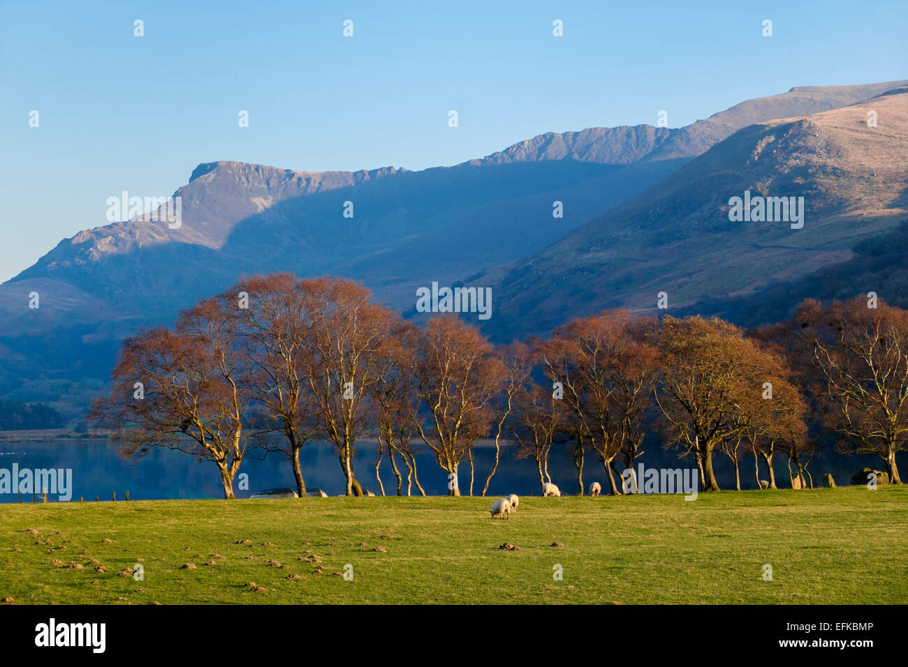 The Nantlle ridge mountains above Llyn Nantlle Uchaf in Snowdonia ...