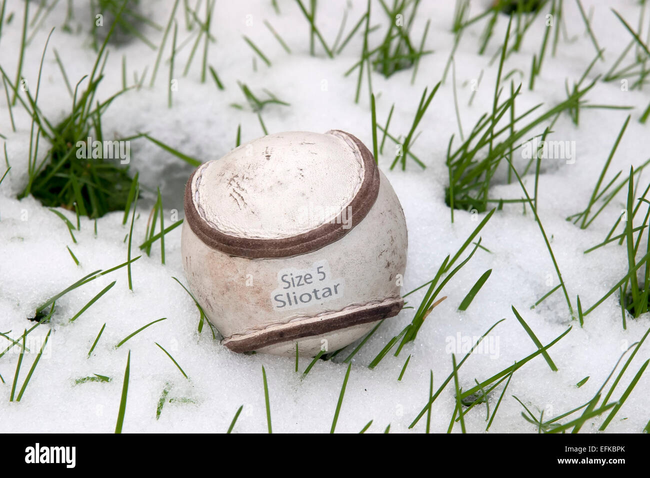 a size 5 sliotar Irish leather hurling ball in snow covered grass Stock ...