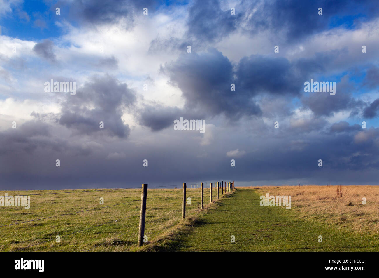 Cley Marshes Nature Reserve on the North Norfolk coast Stock Photo - Alamy