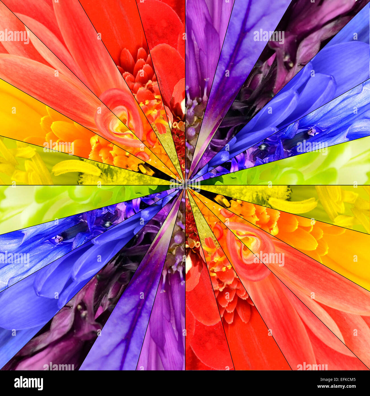 Rainbow division hi-res stock photography and images - Alamy