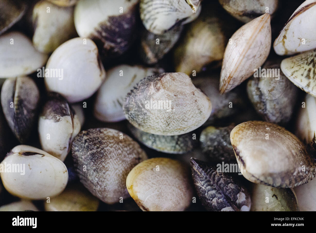 Ameijoa hi-res stock photography and images - Alamy