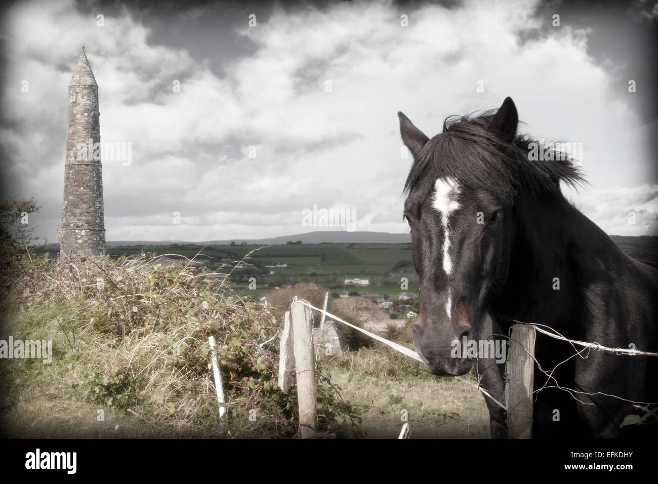 Irish horse and ancient round tower in the beautiful Ardmore ...