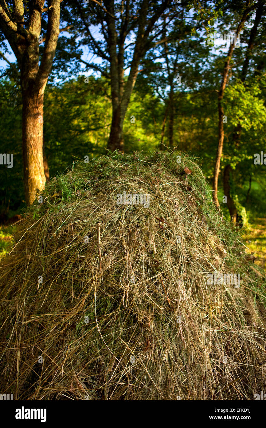 Garden haystack hi-res stock photography and images - Alamy