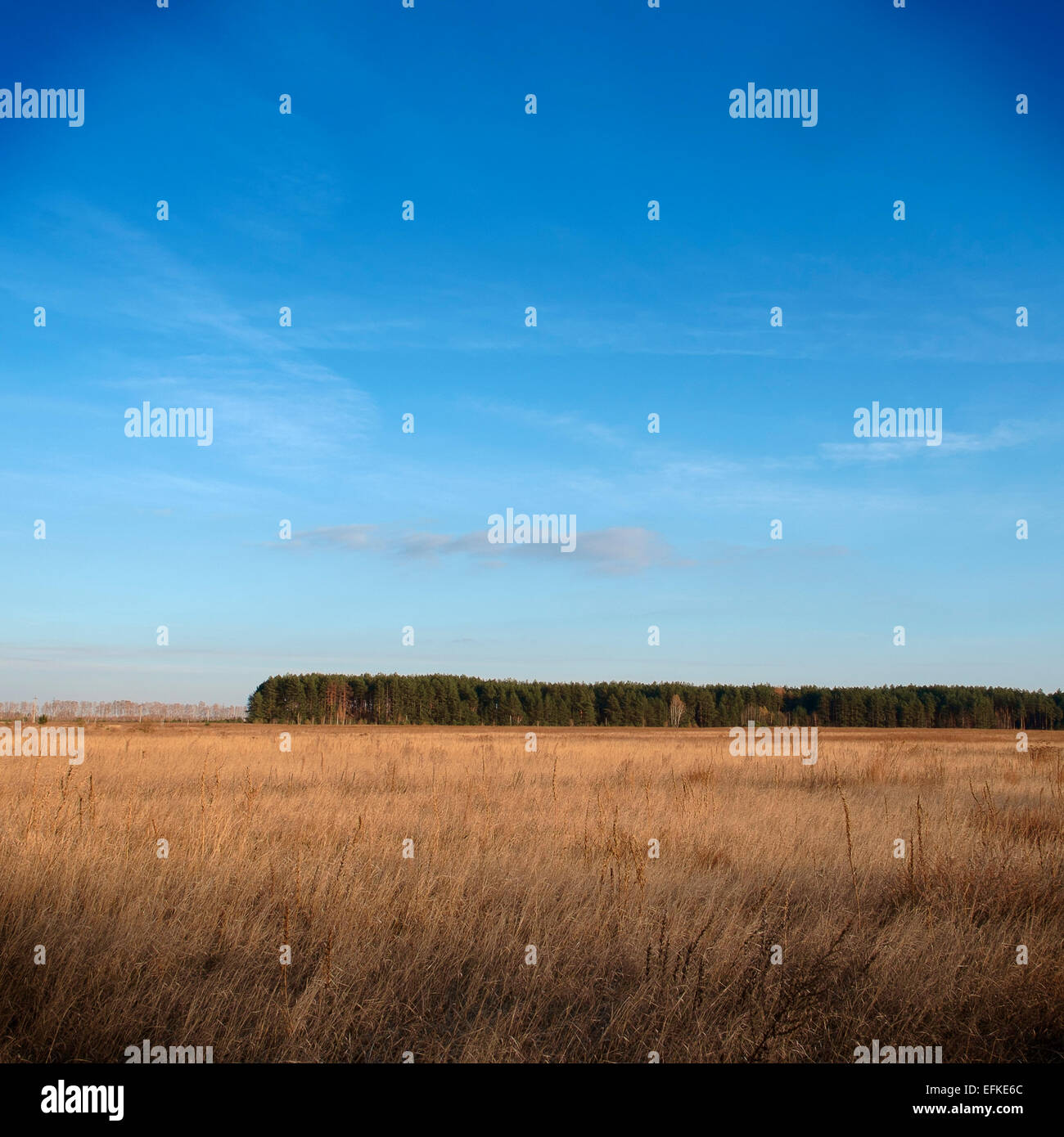 Golden valley line hi-res stock photography and images - Alamy