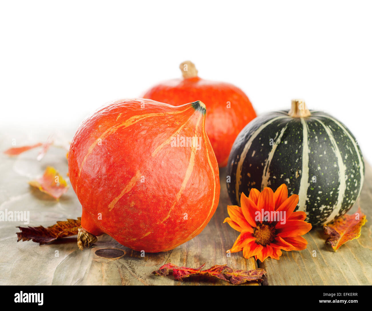Pumpkins isolated on a white background. Selective focus Stock Photo ...