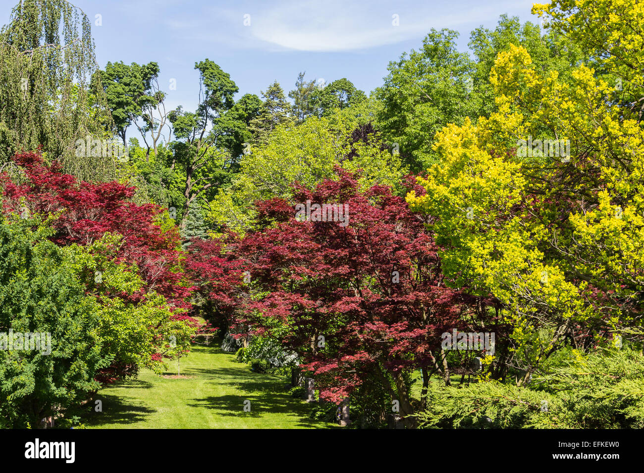 One many colourful trees hi-res stock photography and images - Alamy