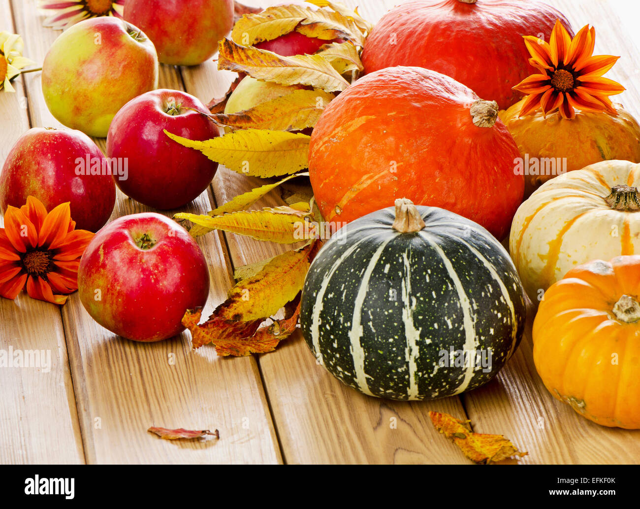 Harvested pumpkins with apples and fall leaves. Selective focus Stock ...