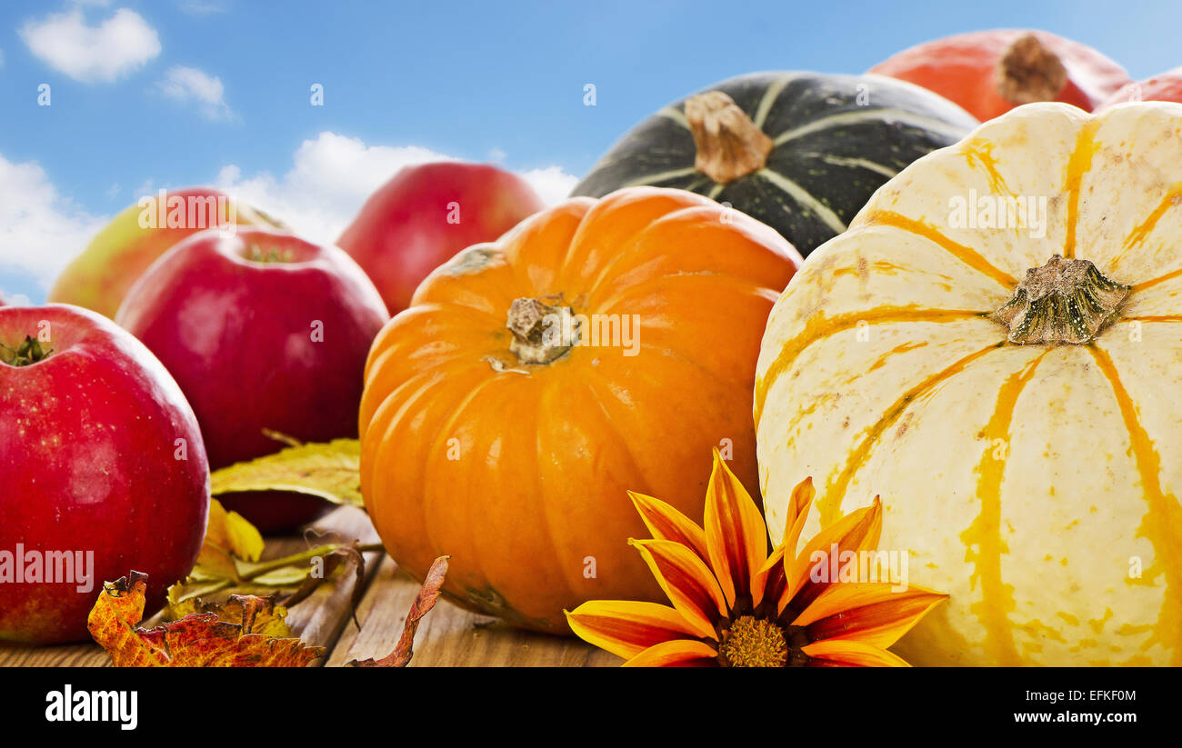 Pumpkins, apples and fall leaves. Selective focus Stock Photo - Alamy