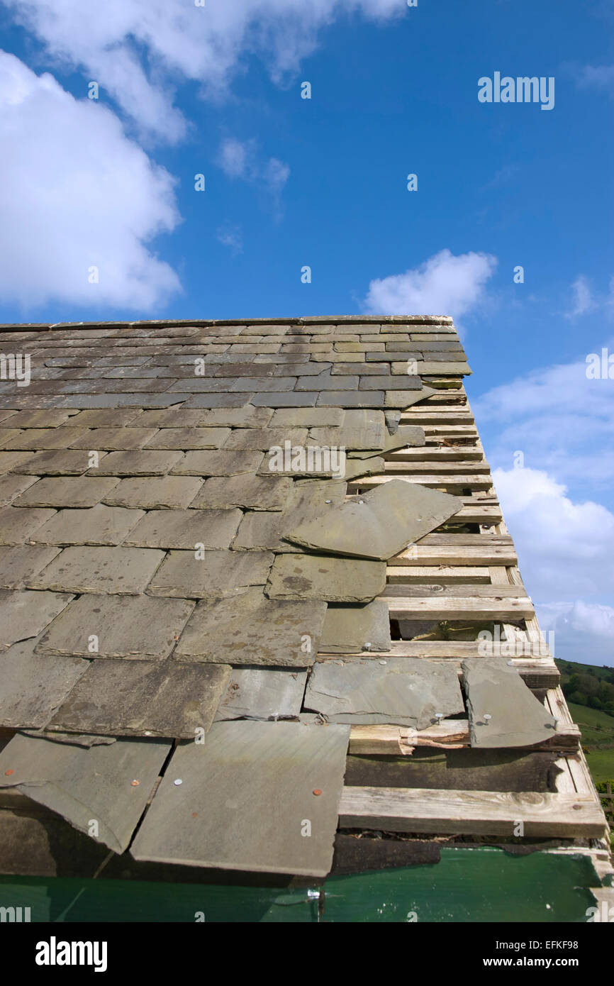 broken and fallen slate leaves holes in a roof due to storm or decay ...