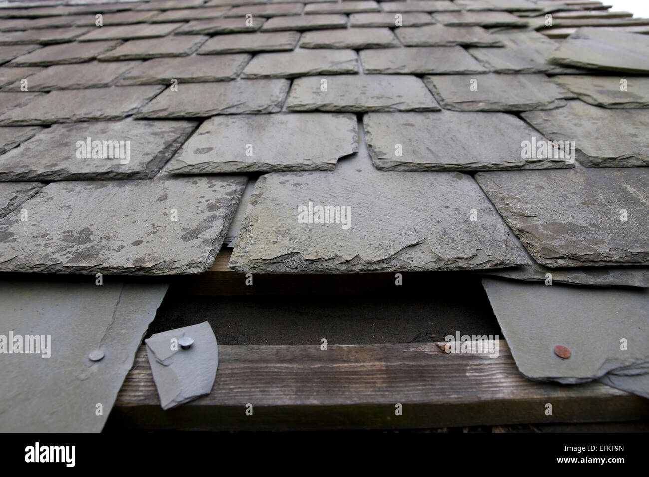 broken and fallen slate leaves hole in a roof due to storm or decay ...