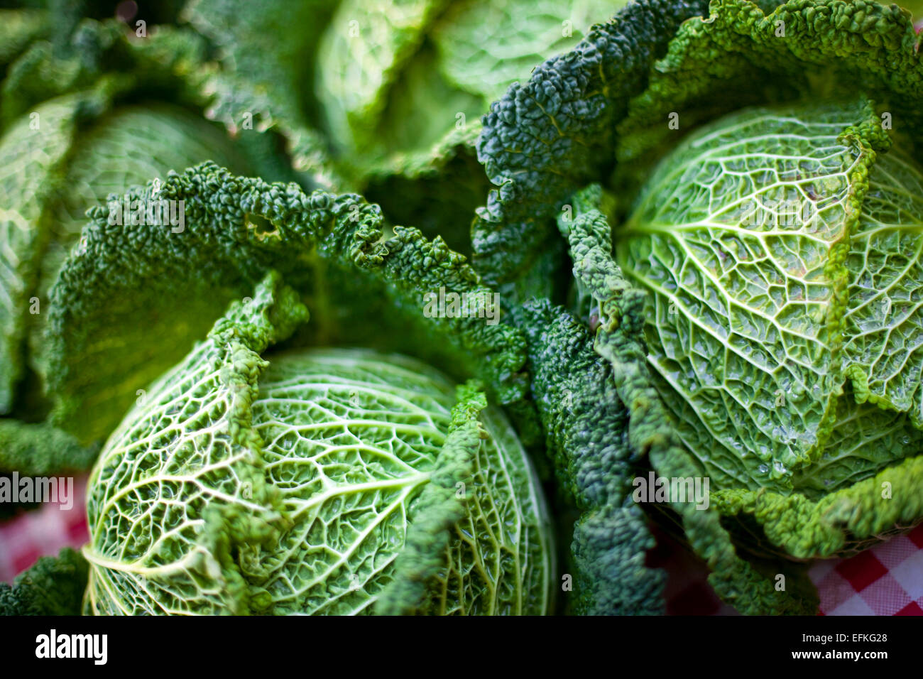 Cabbage stall hi-res stock photography and images - Alamy