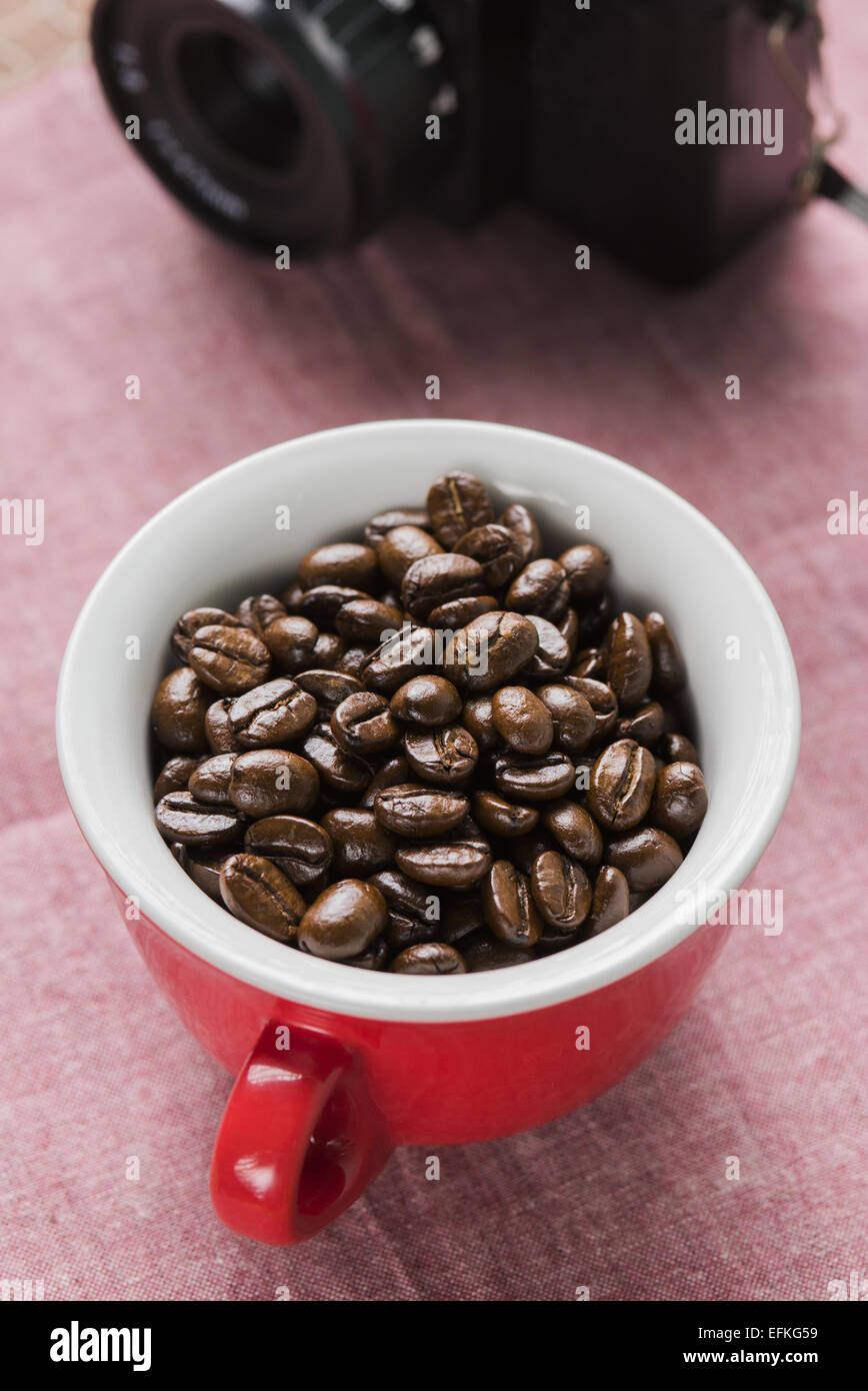Coffee beans for espresso shot in a cafe or coffee shop Stock Photo - Alamy