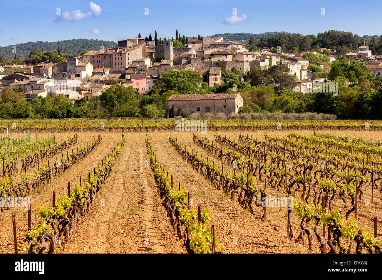 village de Carses dans le vignoble du Var provence verte 83 france ...