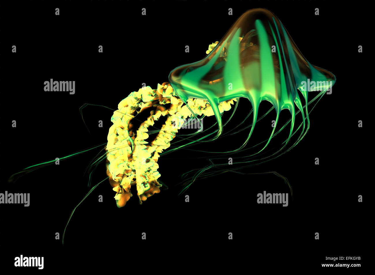 The tentacles of the organism hi-res stock photography and images - Alamy