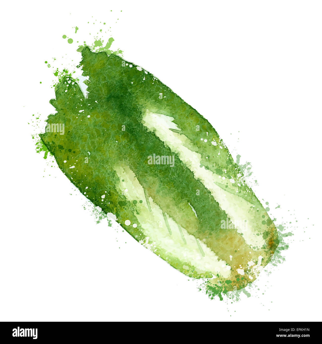 Green cabbage illustration Cut Out Stock Images & Pictures - Alamy