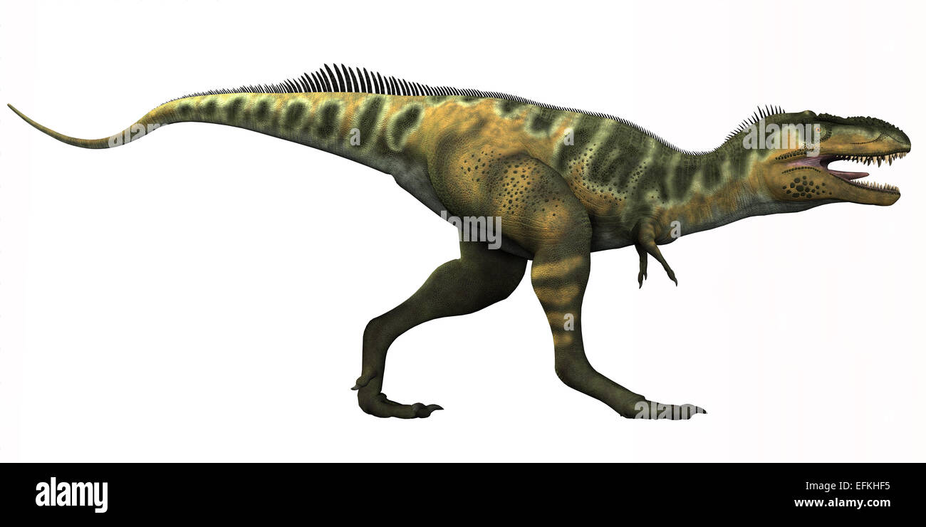 Bistahieversor is a genus of tyannosaurid dinosaur that lived in New ...