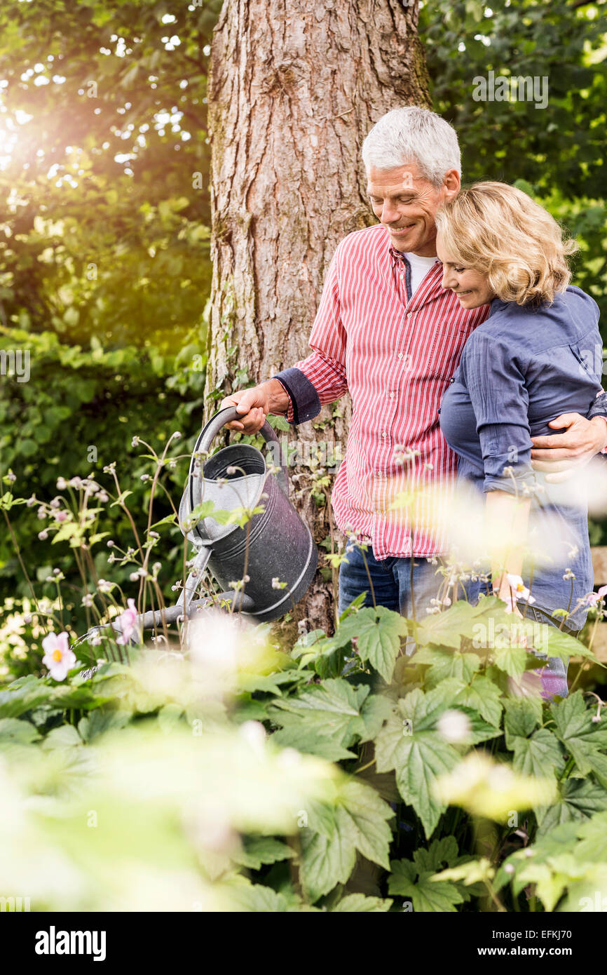 Ground hugging plants hi-res stock photography and images - Alamy