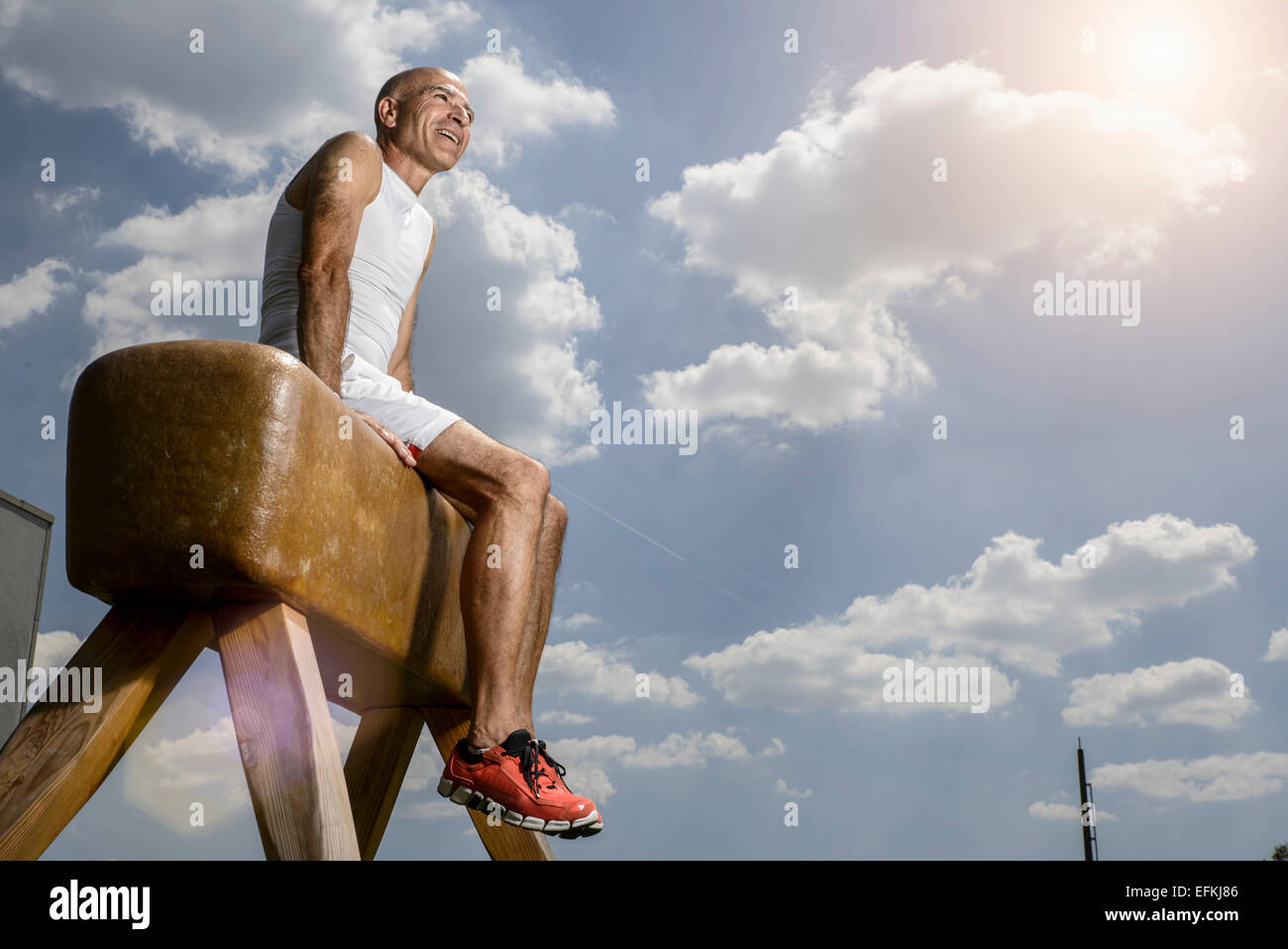 Horse hair loss hi-res stock photography and images - Alamy