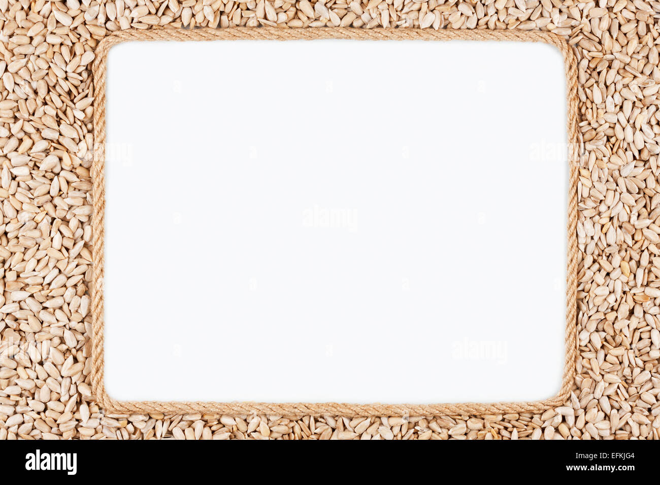 Frame made of rope with sunflower seeds lying on a white background ...