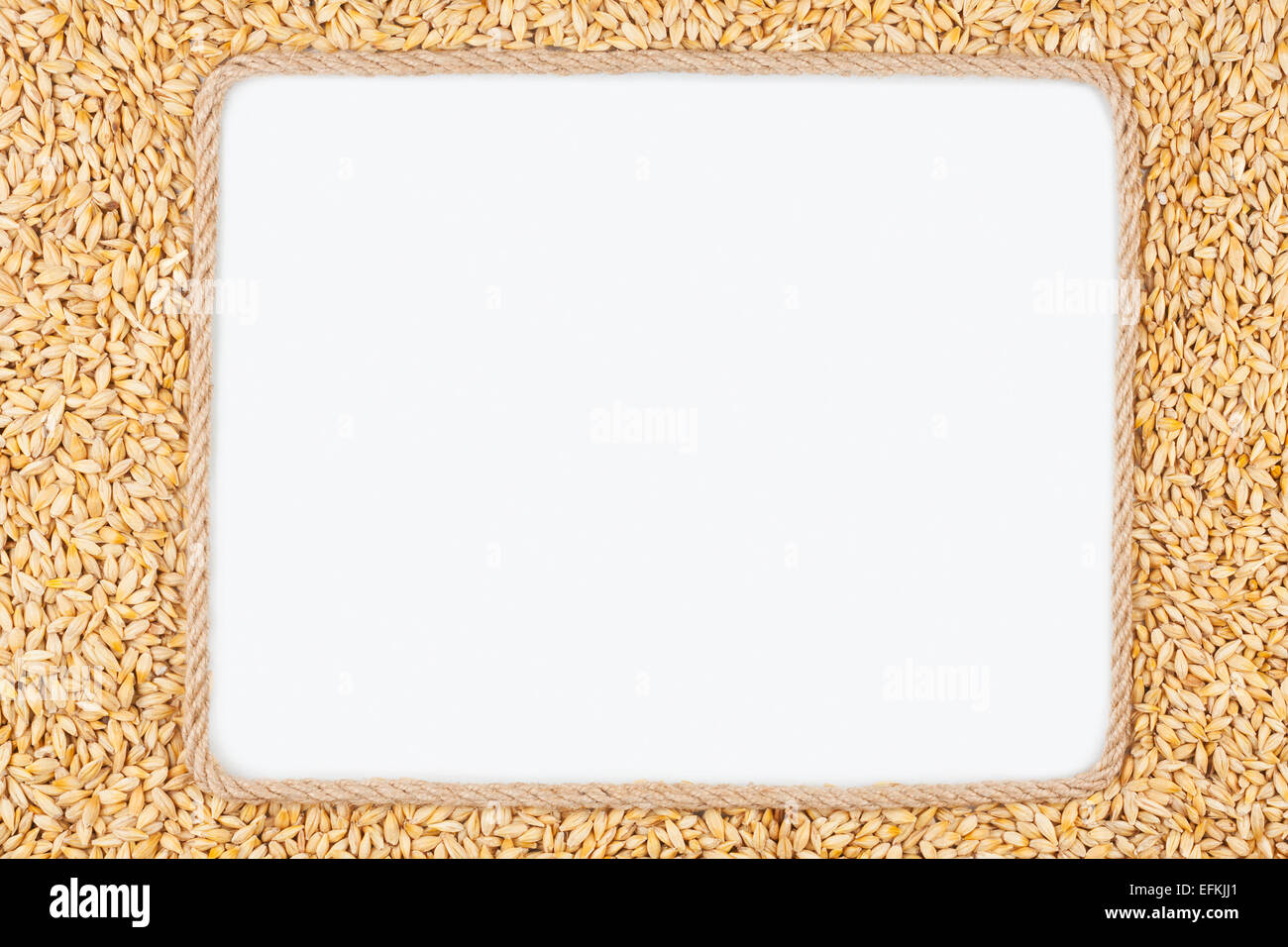 Frame made of rope with barley lying on a white background, with place ...