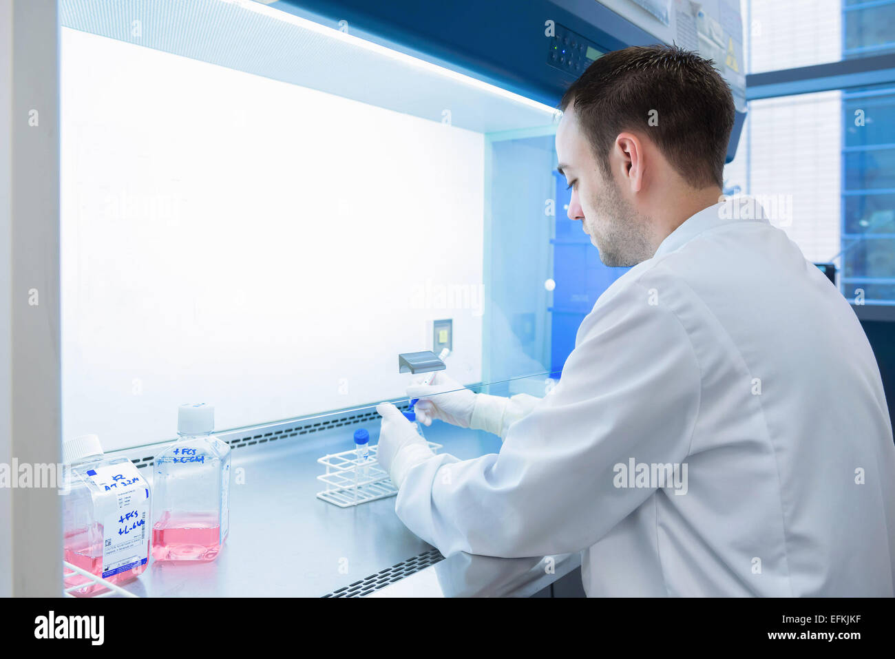 Preparing specimen hi-res stock photography and images - Alamy