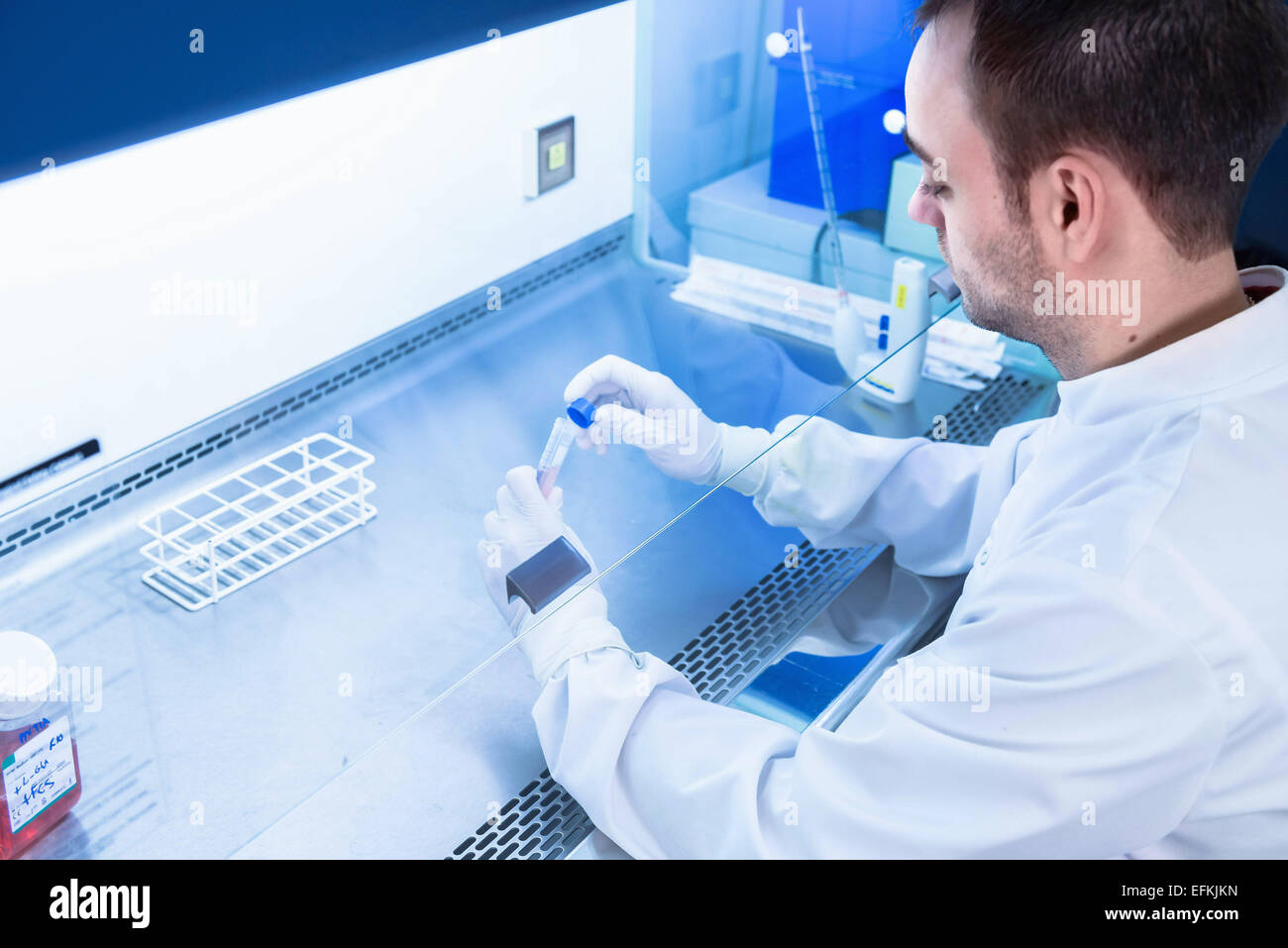 Cancer research laboratory, over shoulder view of scientist preparing ...