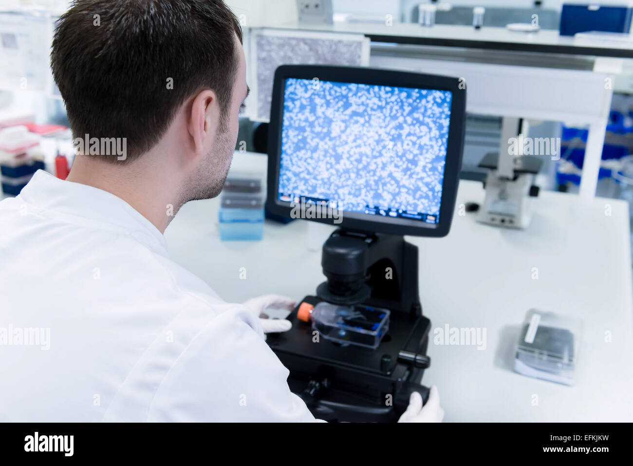 Cancer research laboratory, male scientist studying cells under the ...