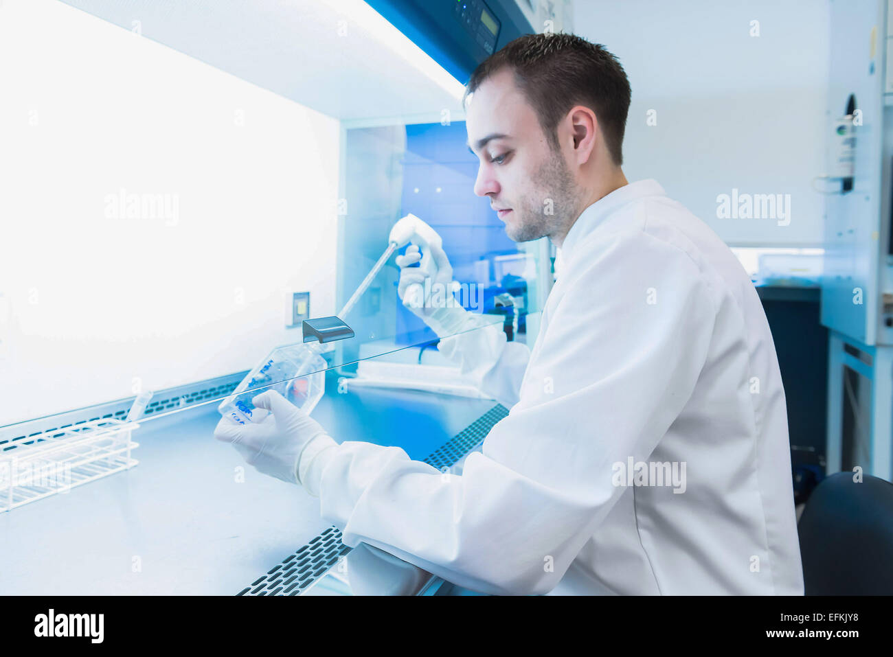 Cancer research laboratory, scientist preparing cells using electronic ...