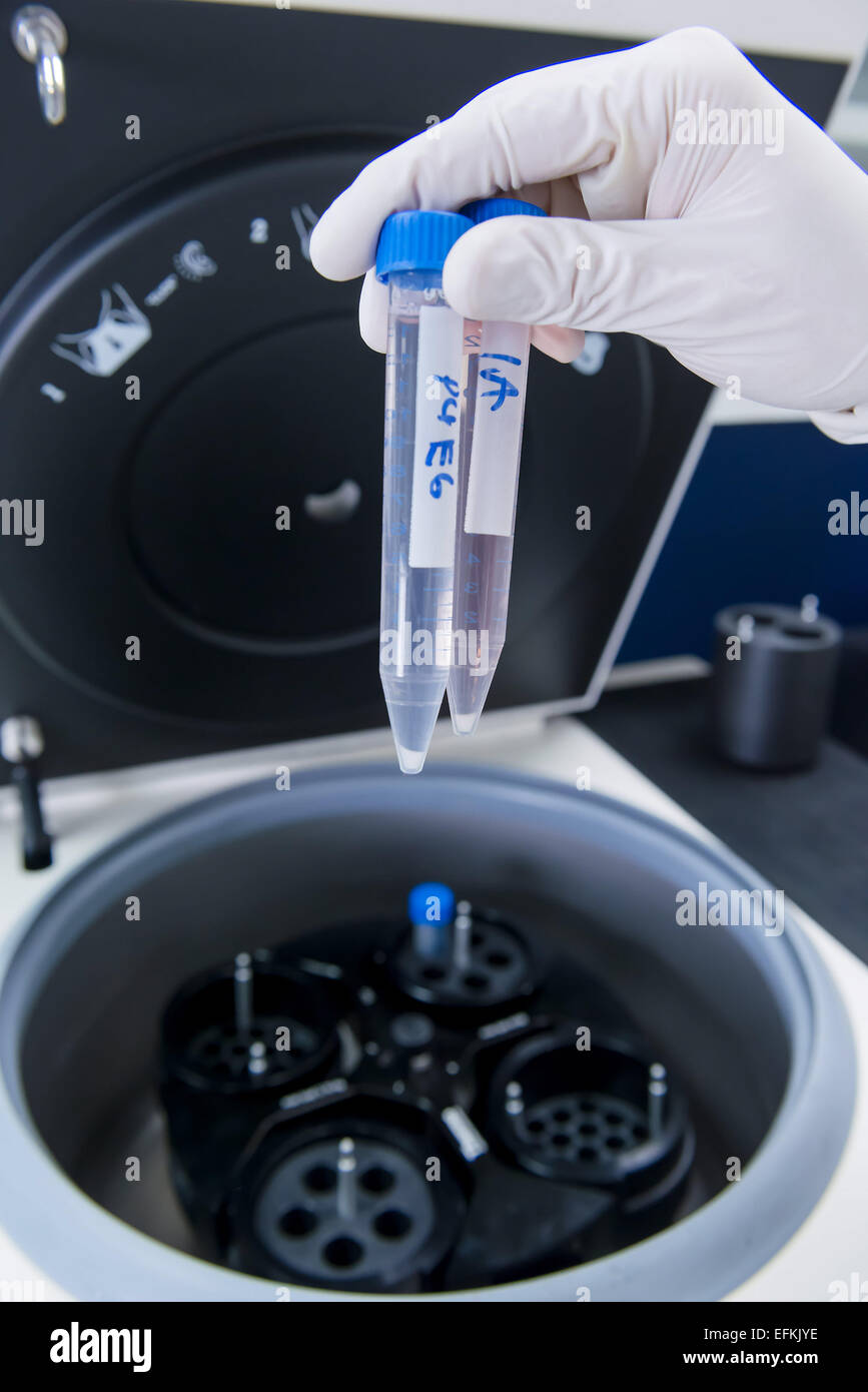 Test tube hand detail hi-res stock photography and images - Alamy