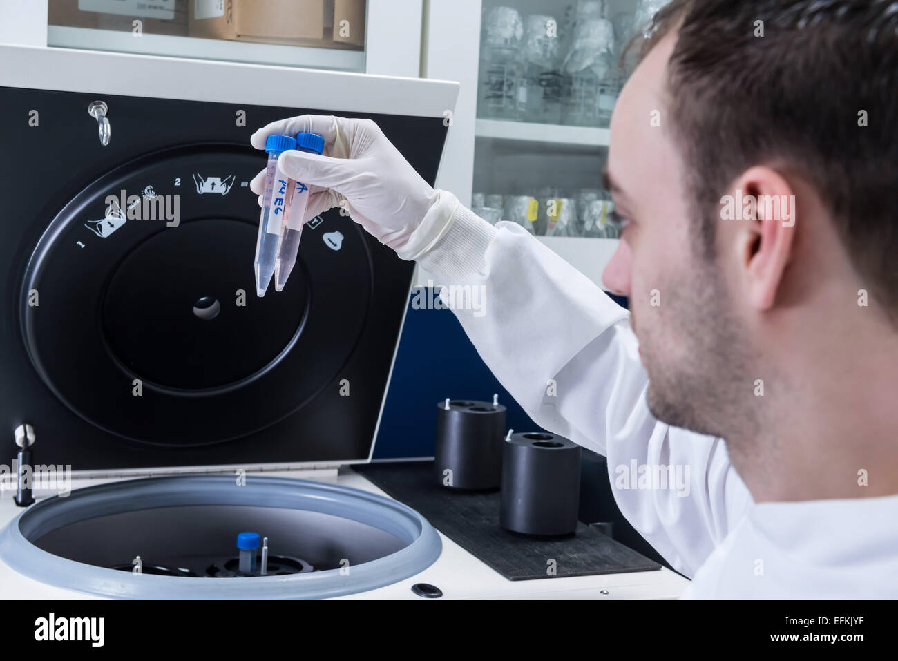 Cancer research laboratory, scientist placing cells into centrifuge ...