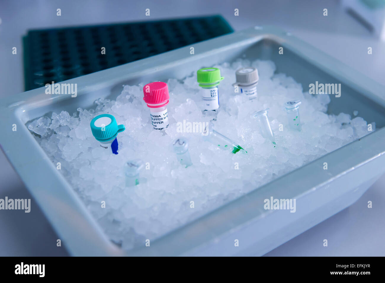 Cancer research laboratory Cells kept ice after storage sub zero ...