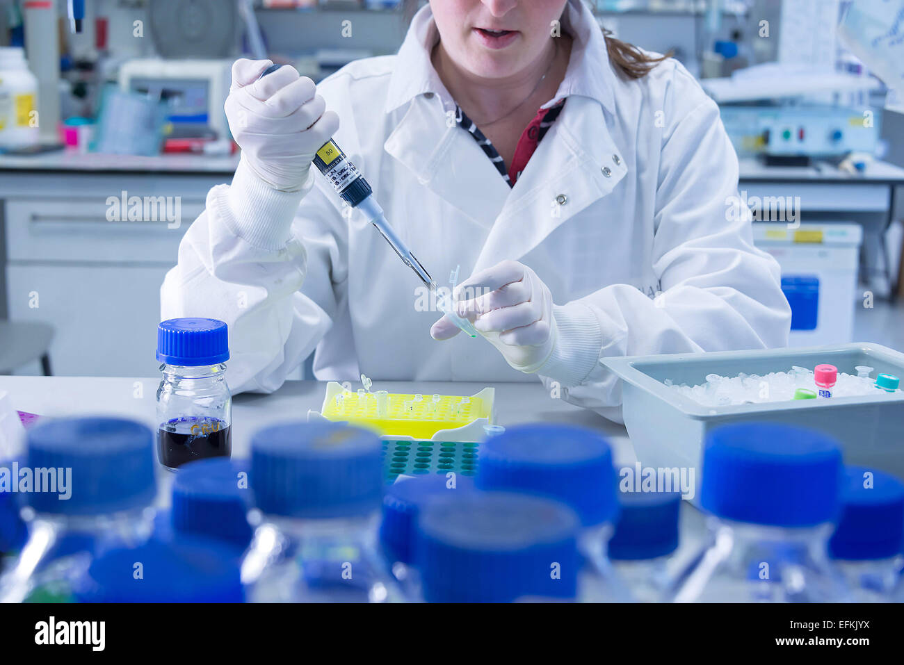 Cancer research laboratory scientist working cells ice storage sub zero ...